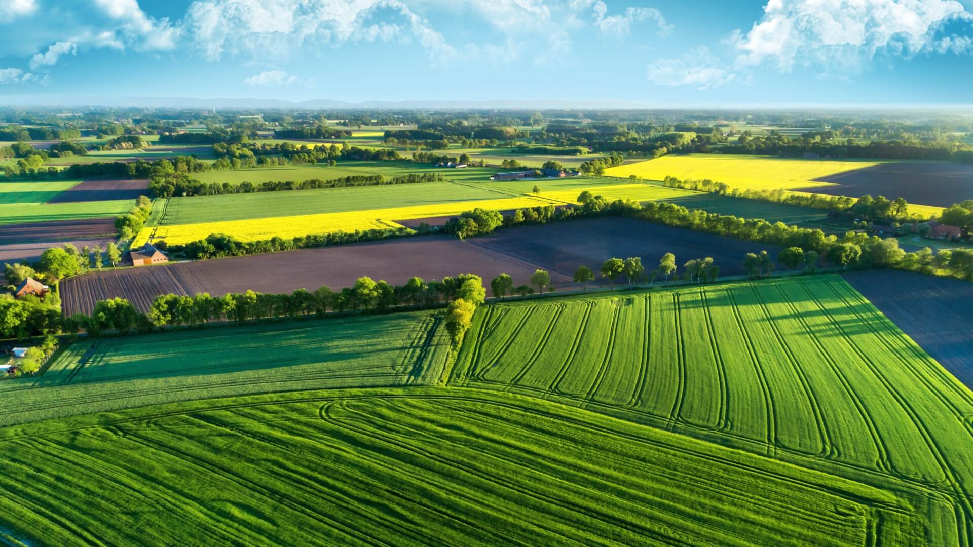 FIELD MANAGER | Digital Farming