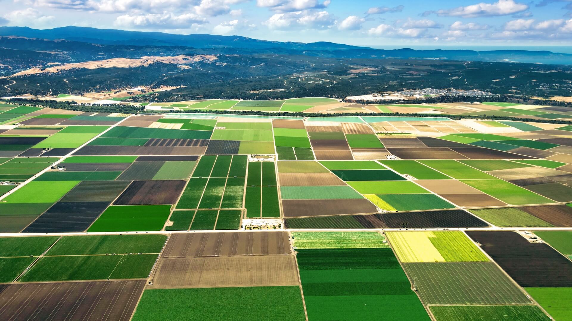 FIELD MANAGER | Digital Farming